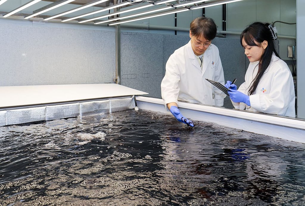 CJ Foods to build a commercial land-based cultivation facility for seaweed