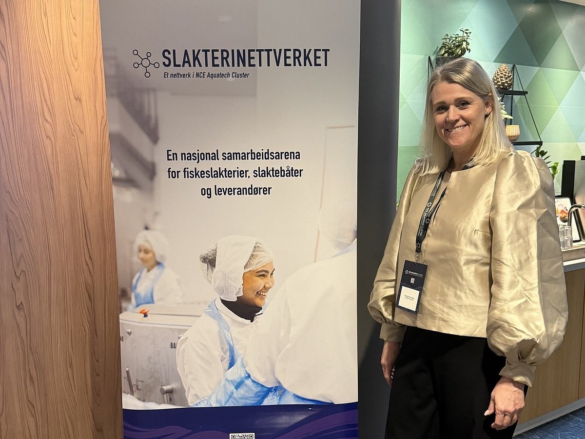 Norway's Fish Processing Network seeks to become a cluster