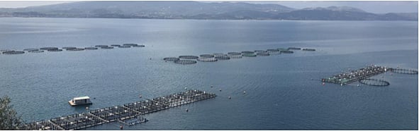 Spanish seafood group Profand goes ashore Greece with the purchase of ...
