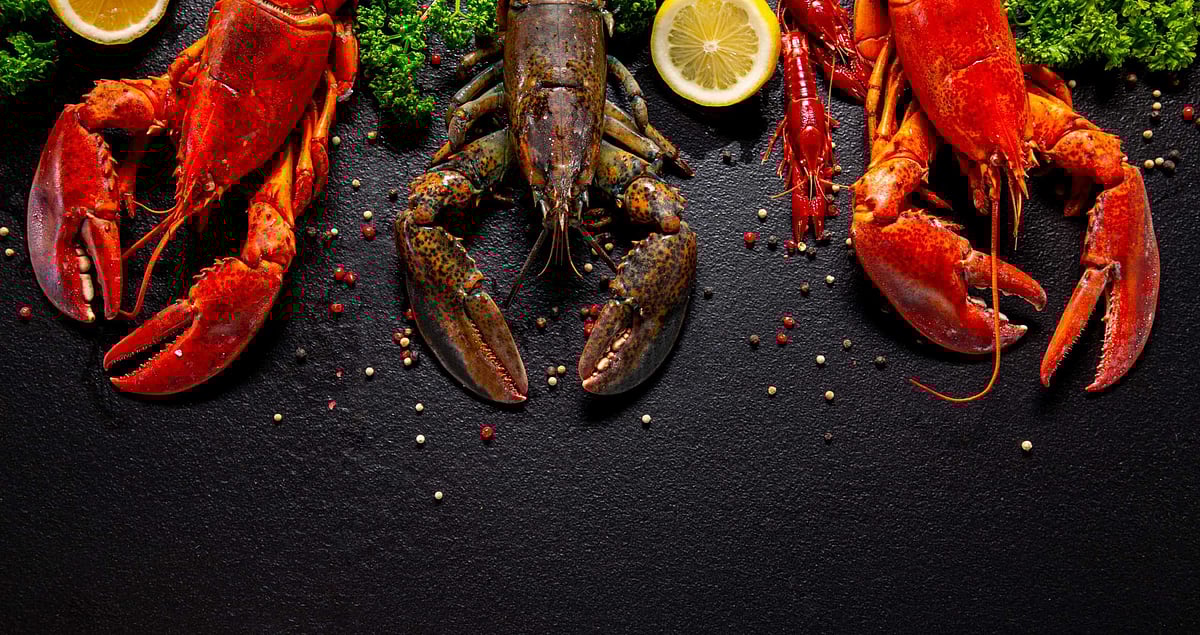 Jordan Mazzetta, CEO of newly formed Atlantic Sustainable Catch