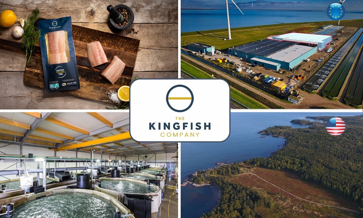Founding partner Kees Kloet, new chief tech officer of The Kingfish Company
