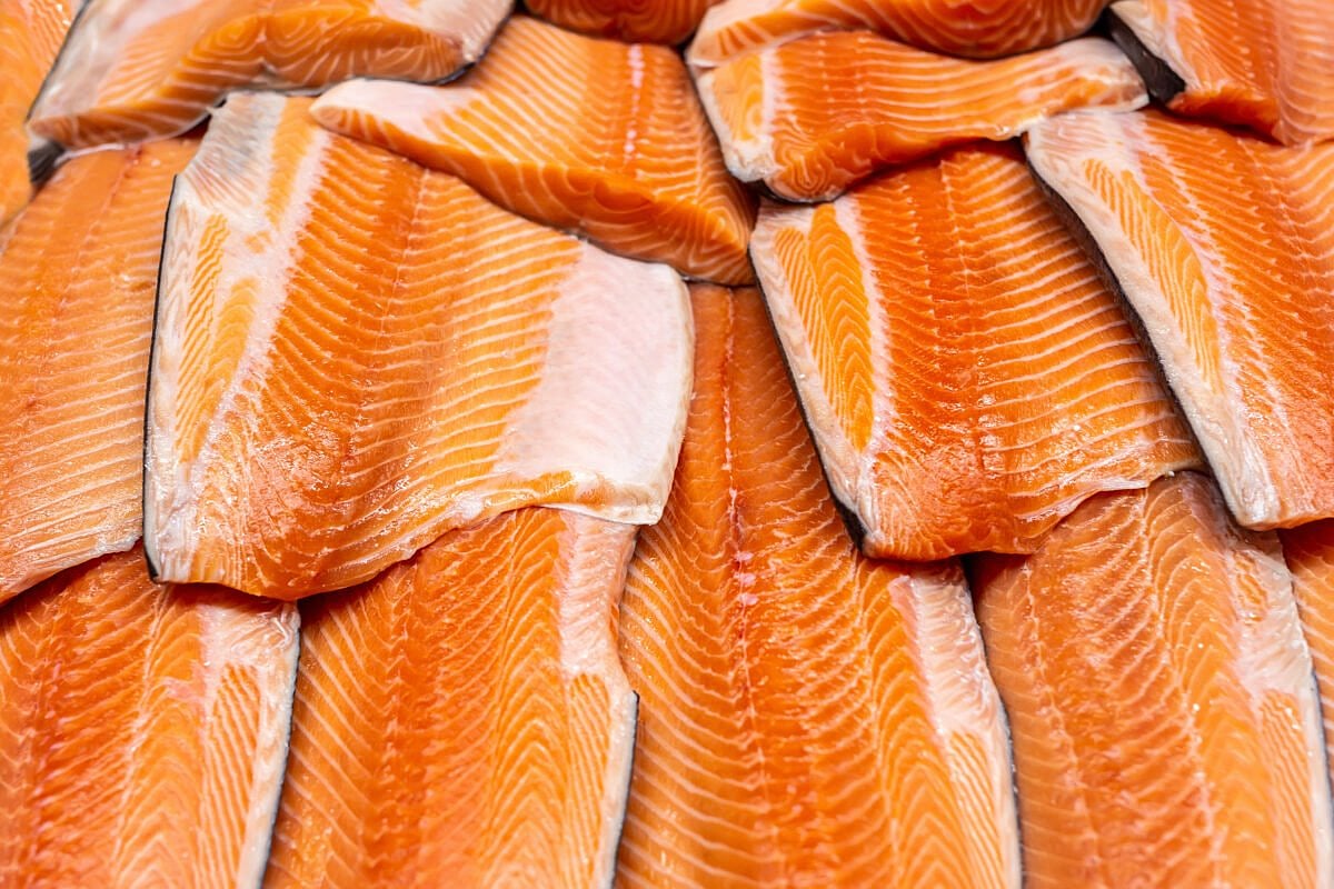 EU salmon processors unionize against Norway's "prodfisk" ban