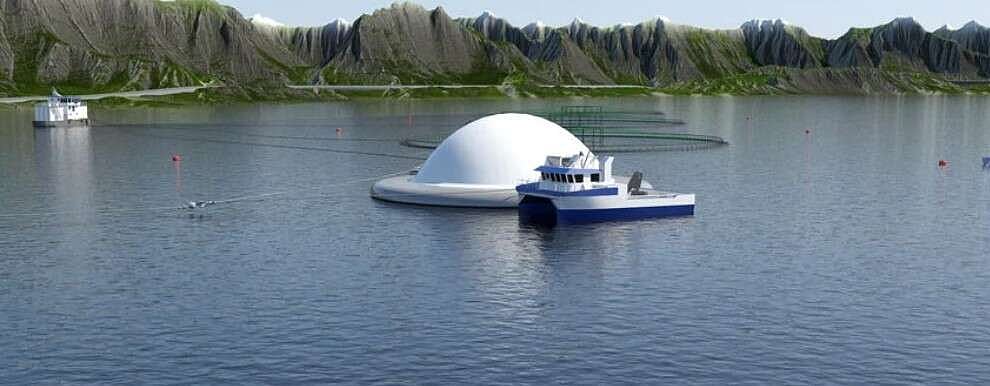 The Egg and Donut projects, sold %%page%% %%sep%% %%sitename%%