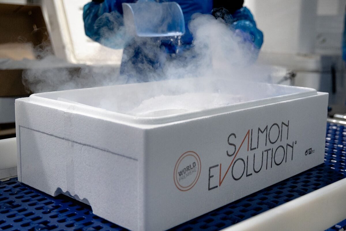 Salmon Evolution, profitable farming operations in Q2 2023