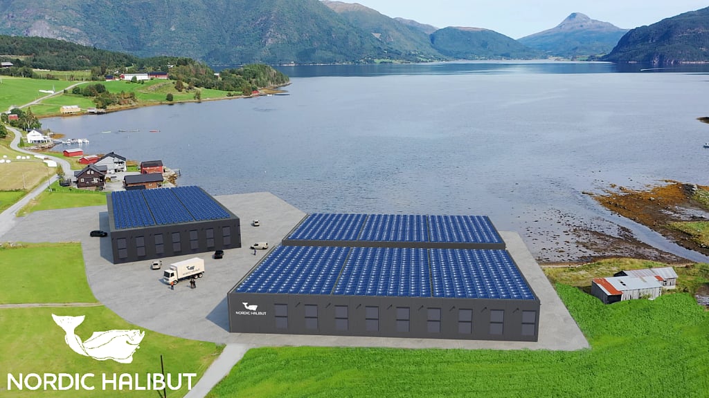 Nordic Halibut agrees acquisitions and expands financing amid Q1 loss