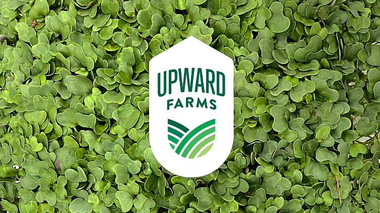 Upward Farms closes after more than 10 years in business