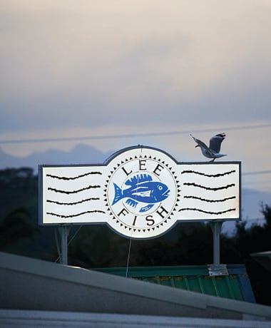 Sole Source Capital acquires Lee Fish USA