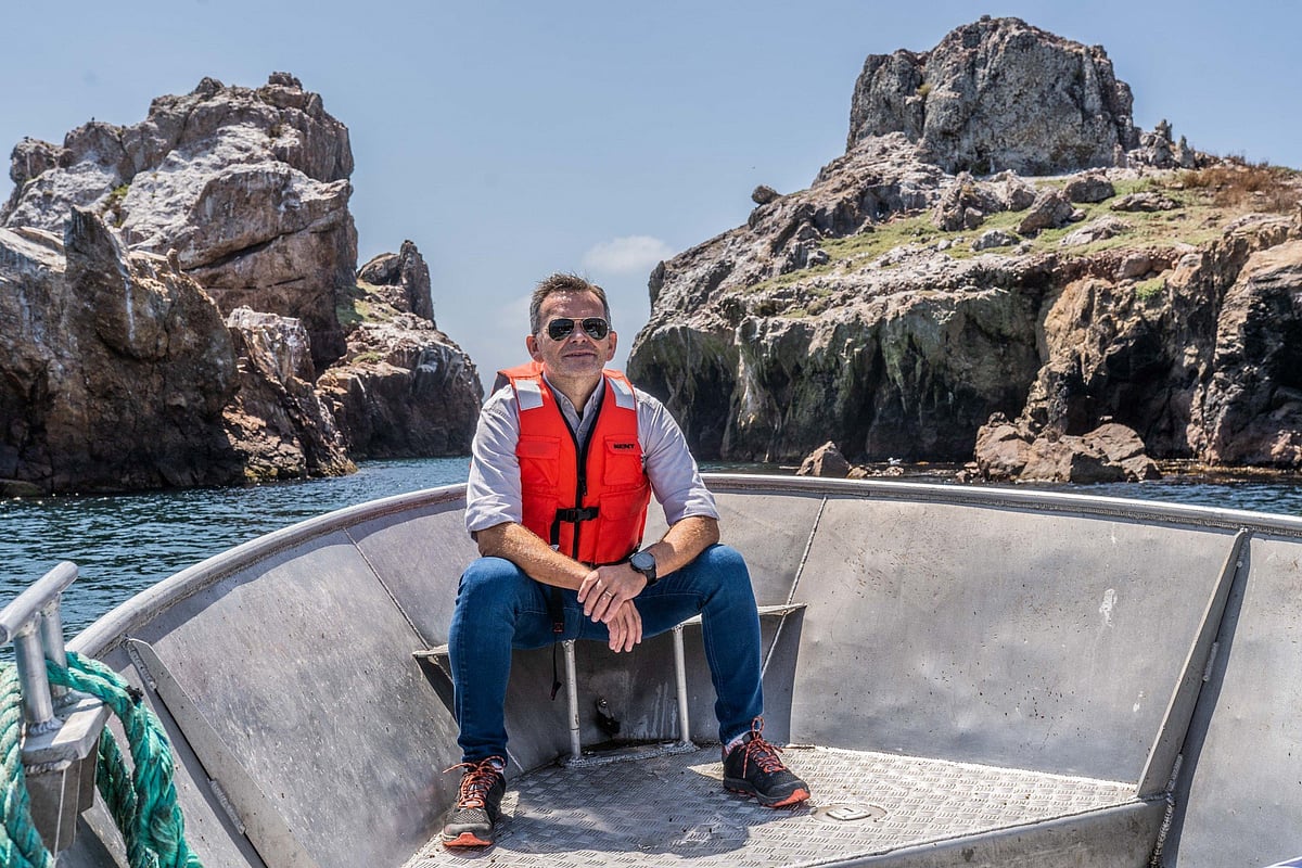 Nettinggjerde Paving The Way For A New Future In Tissue Regenerative