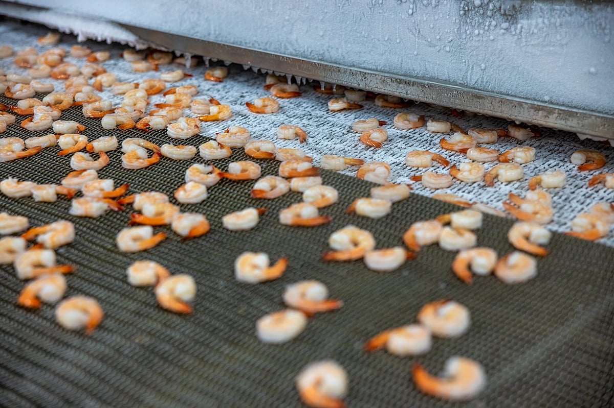 U.S. will not revoke antidumping duties on frozen shrimp