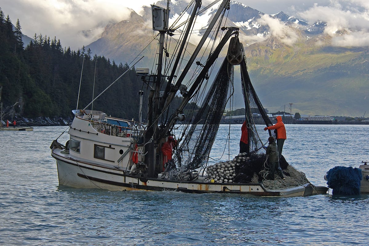 'Improving ARCTIC Act' to strengthen Alaska's seafood industry