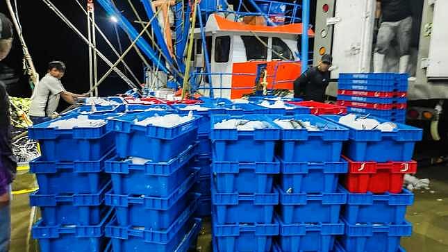 Peru clamps down on undersized fishing to protect resources