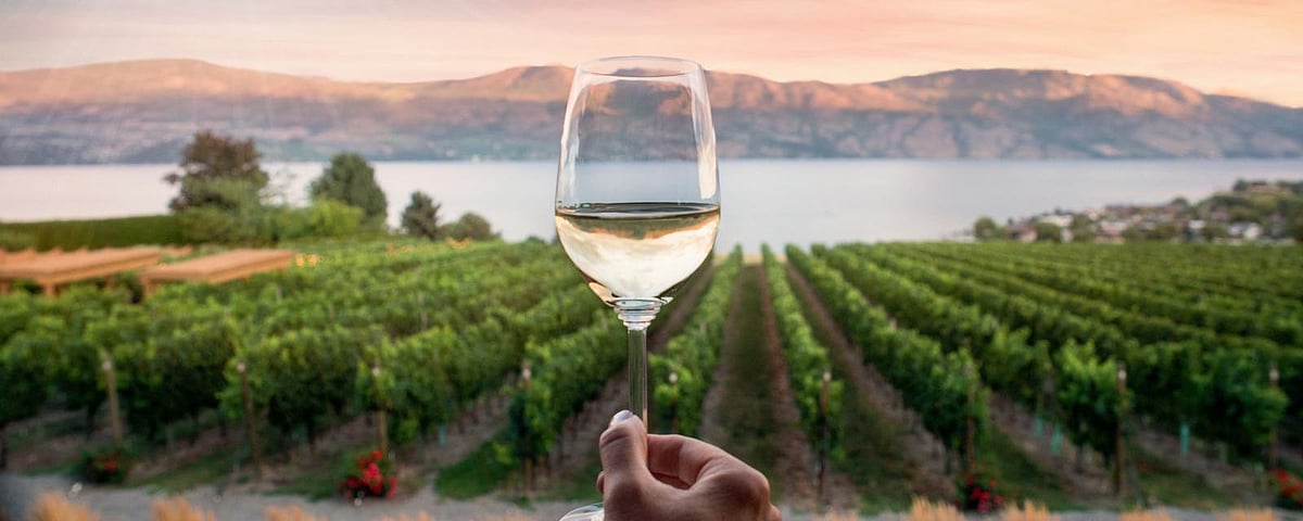 Wine dispute fermenting between Alberta and BC