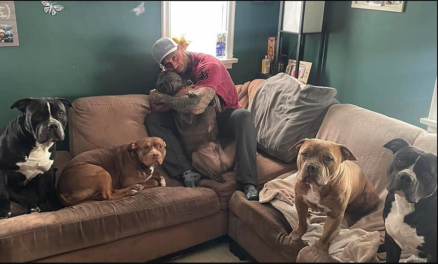 Killer dogs ordered euthanized by Calgary judge