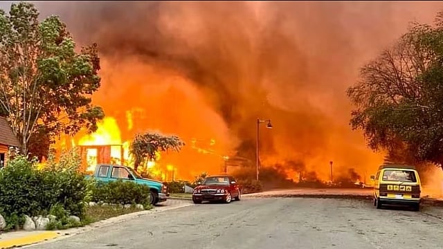 Feds to withhold Jasper forest management details until a year after ...