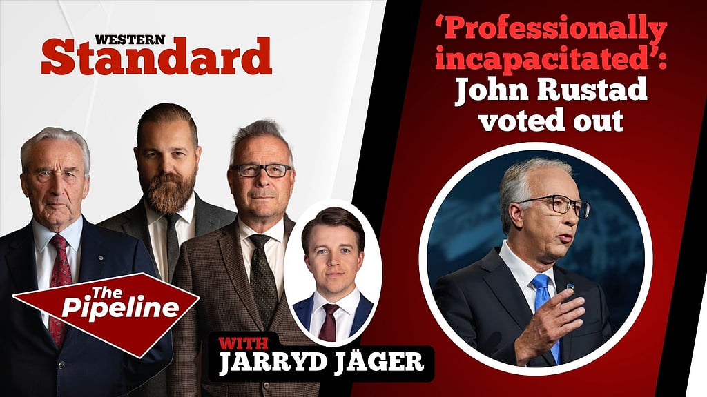 WATCH: ‘Professionally incapacitated’: John Rustad voted out