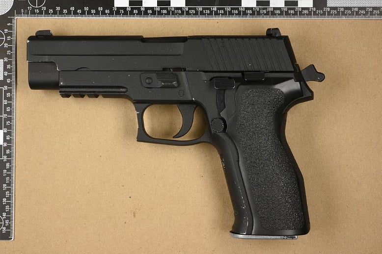 ‘Gun grab bill’ ensures no more handguns with 50 years