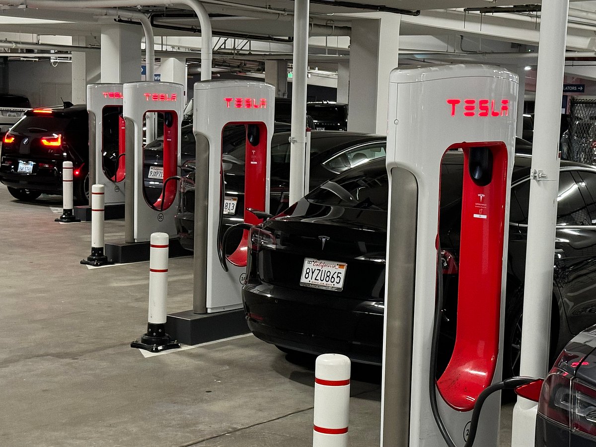 GREEN: Trudeau government must pull the plug on failing EV transition, now