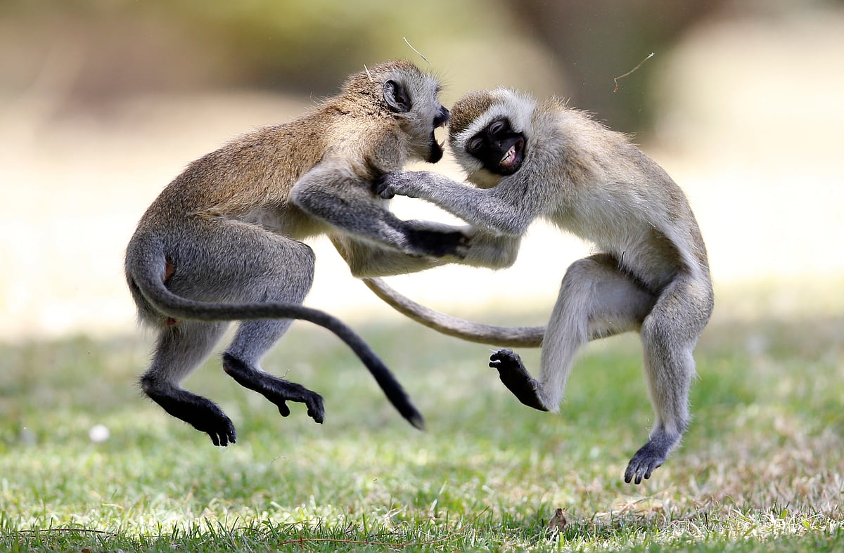 WATCH: NBCUniversal's Peacock launches new series about gay and ...