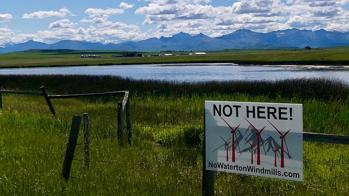 INCONVENIENT TRUTH: Documentary ‘Generation Green’ examines pitfalls of ...