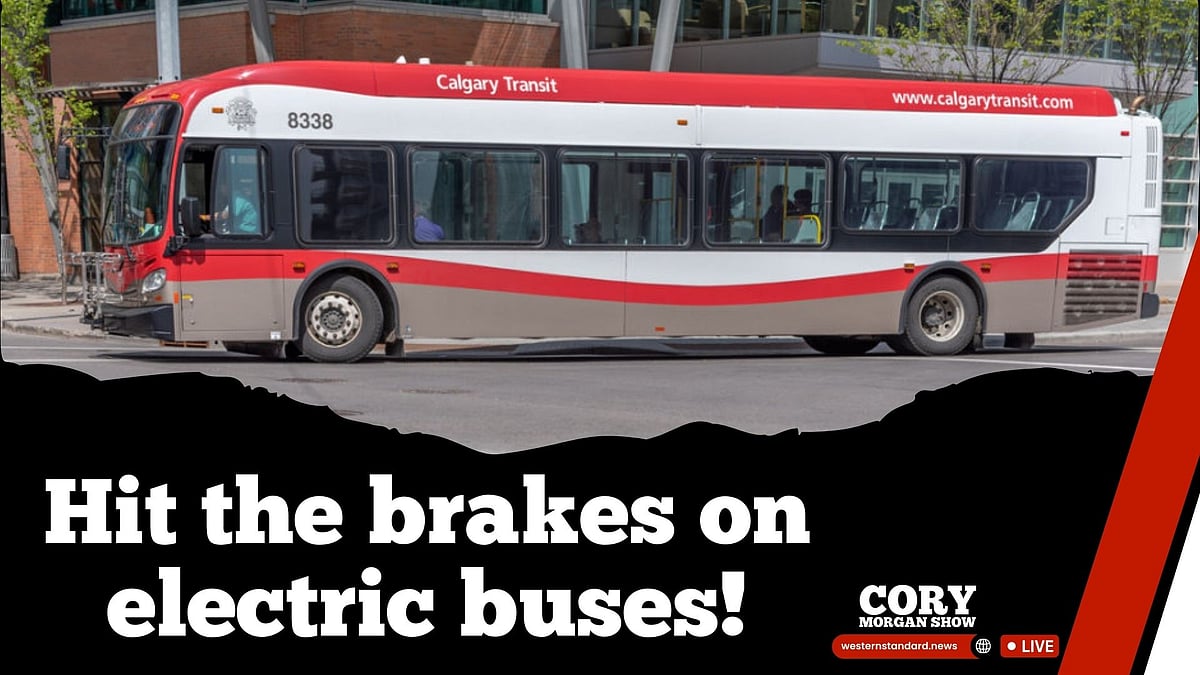 WATCH LIVE: Hit the brakes on electric buses!