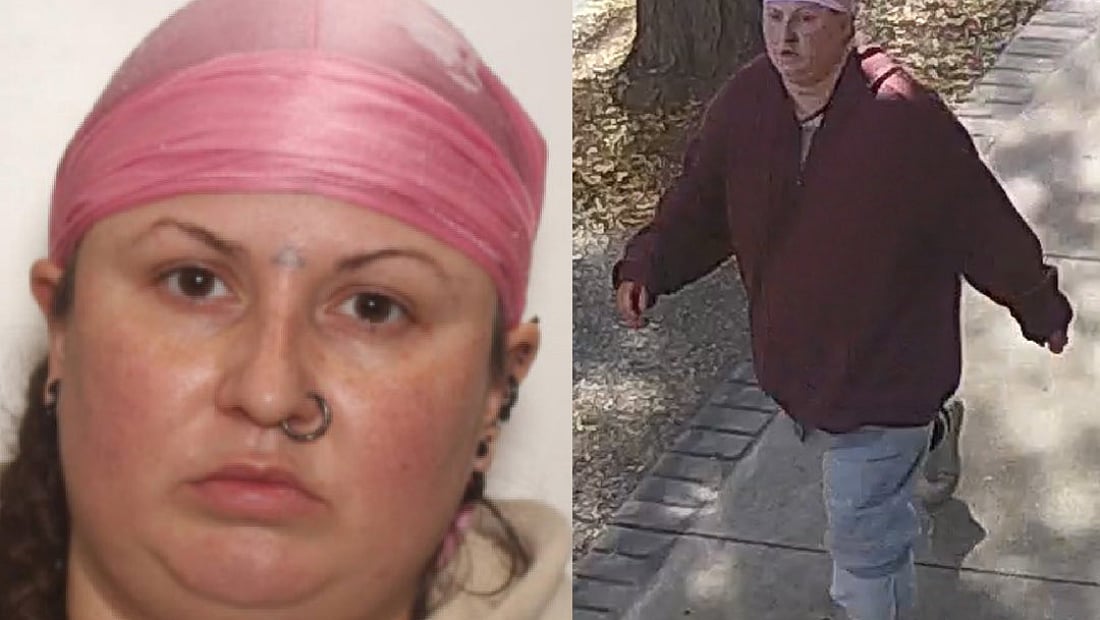 Niagara police arrest suspected female serial killer