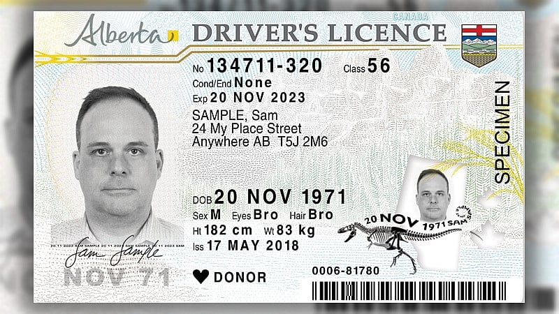 Alberta government looking at changes to driver’s licences, ID cards