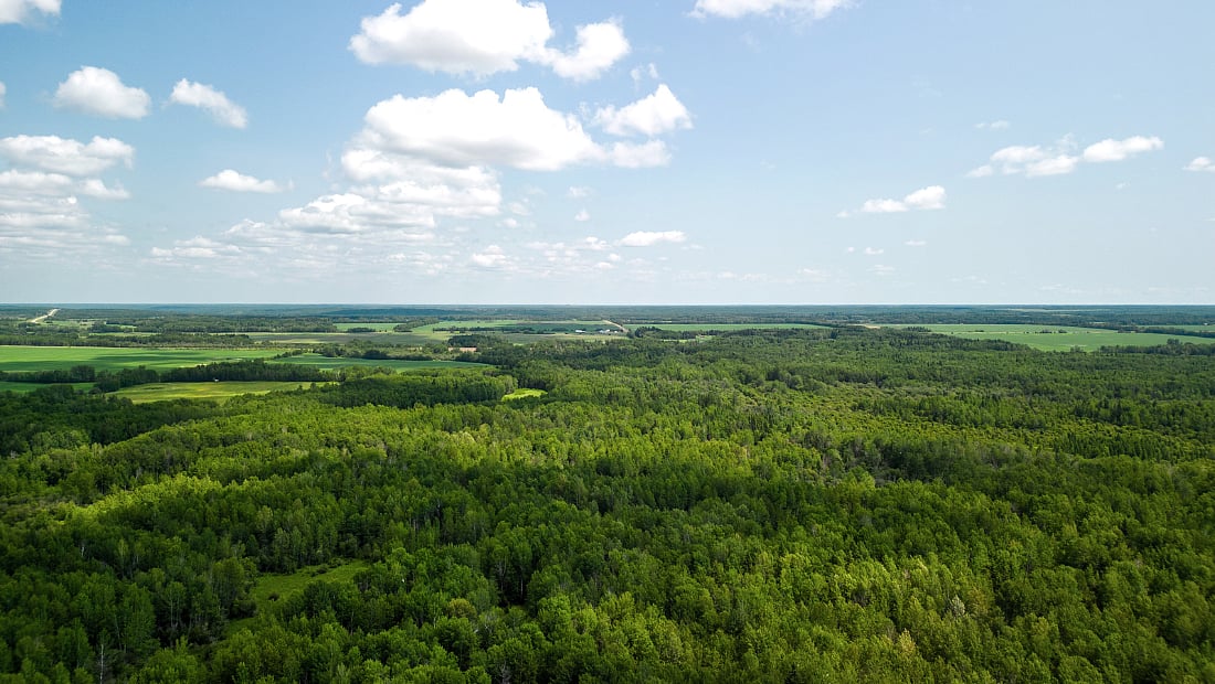Edmonton family’s land donation protects 240 hectares of boreal forest ...