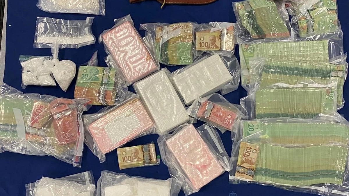 Police seize cocaine, cash, weapons in Saskatoon drug bust