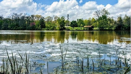 Alberta to spend $8.7 million expanding wetlands for flood and drought ...