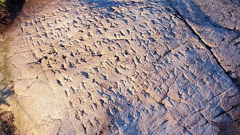 Canadian wild archeological runes found