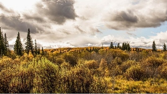 New Gipsy-Gordon park to protect over 150,000 acres of Alberta wilderness