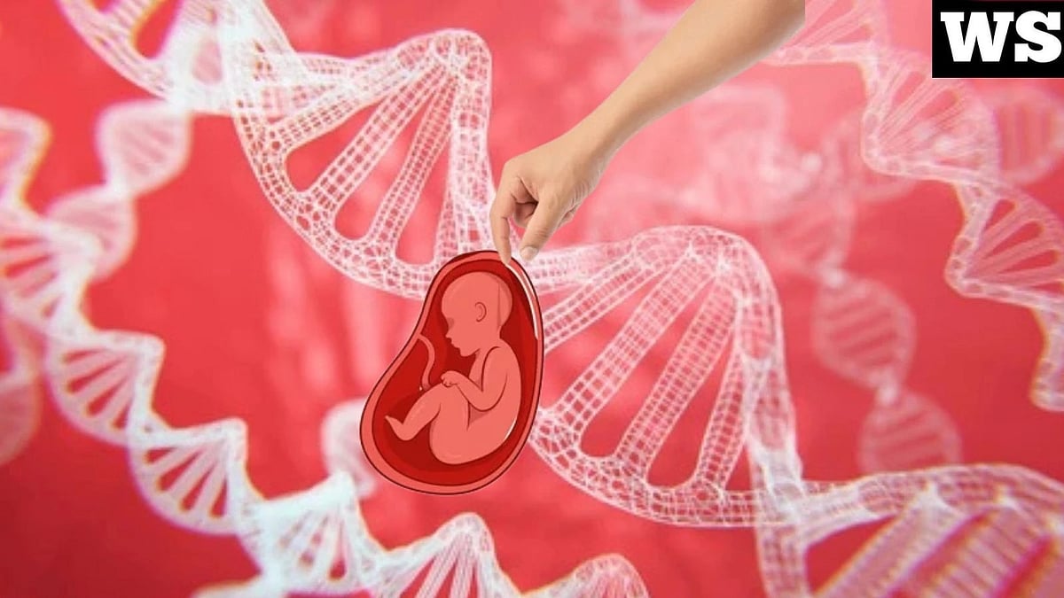 Cheaper embryonic screening lets you select your baby's intelligence