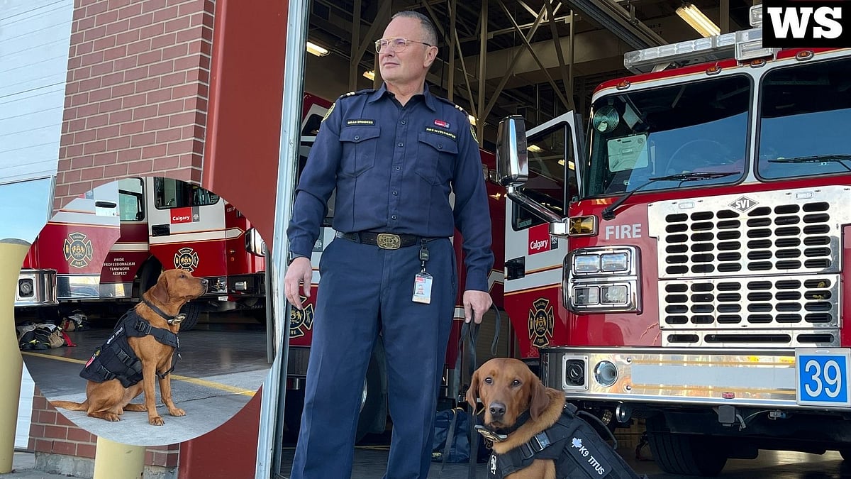 GOOD BOY: Mighty canine Titus joins Calgary fire department as new ...