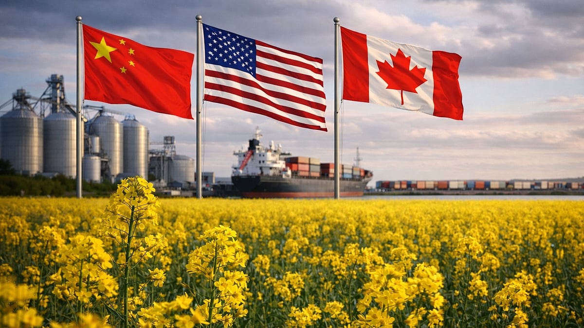 Study warns Canada’s canola exports still over-reliant on China, US
