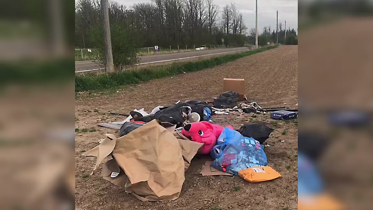 WATCH: Ontario farmer tacks down Brampton family and returns their ...