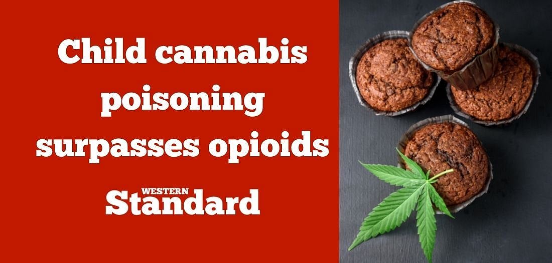 Child cannabis poisoning surpasses opioids