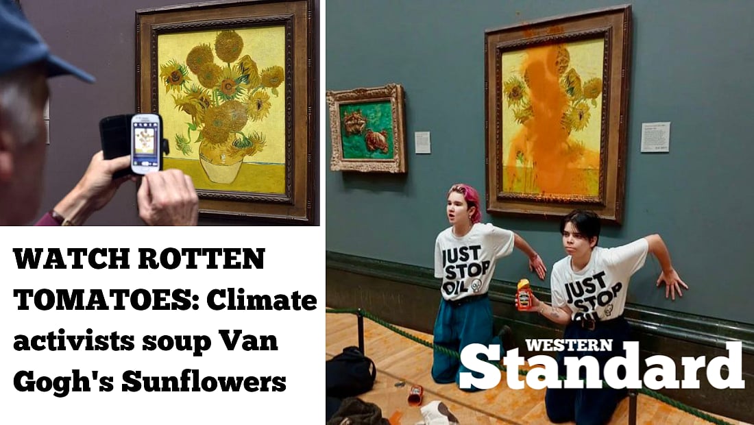 WATCH ROTTEN TOMATOES: Climate activists soup Van Gogh's Sunflowers
