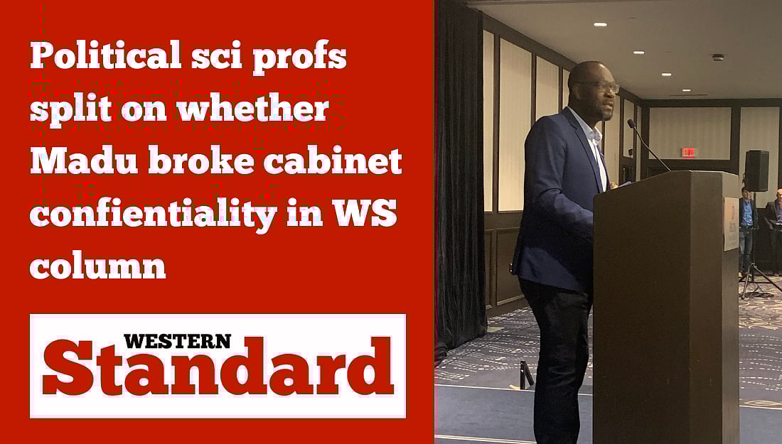 Political sci profs split on whether Madu broke cabinet confidently in WS column