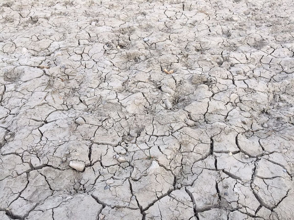 Alberta launches 'historic' water-sharing talks for first time in 23 ...