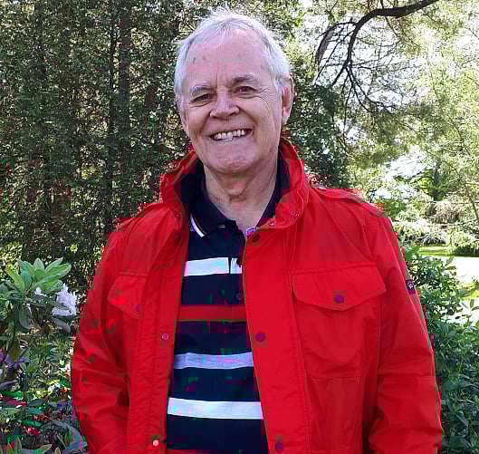 Prof Davies connects pandemic, mass shooting, and government failure