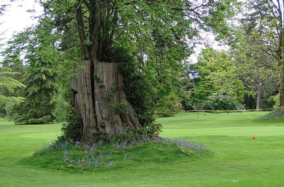 GRAHN: More ways your government wastes your money — by an expert