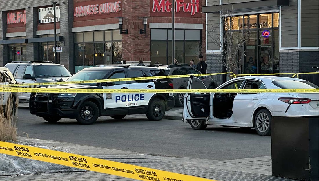 Edmonton police report 18 shootings in March