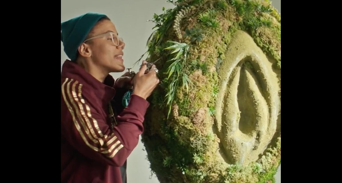 WATCH: CBC honours Chia Pet Day with comedy routine about chia vulva