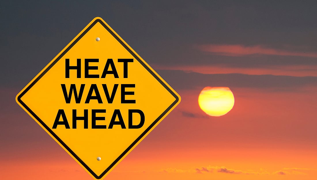 HEAT WAVE: City of Edmonton activates its extreme weather response