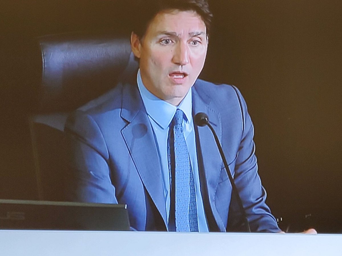KRAYDEN: Trudeau loves anti-lockdown protests — but only in China, not ...
