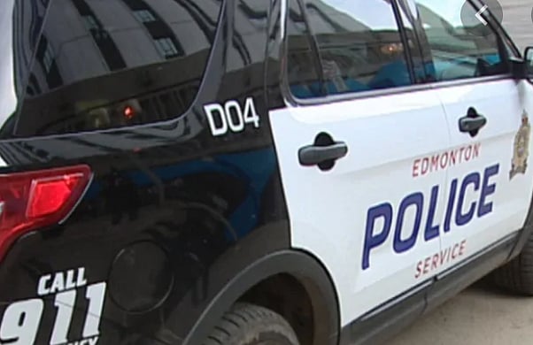 Police investigate as cat stomped to death outside Edmonton LRT station