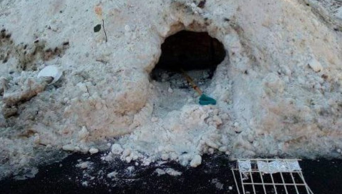 Edmonton homeless digging snow forts to live in