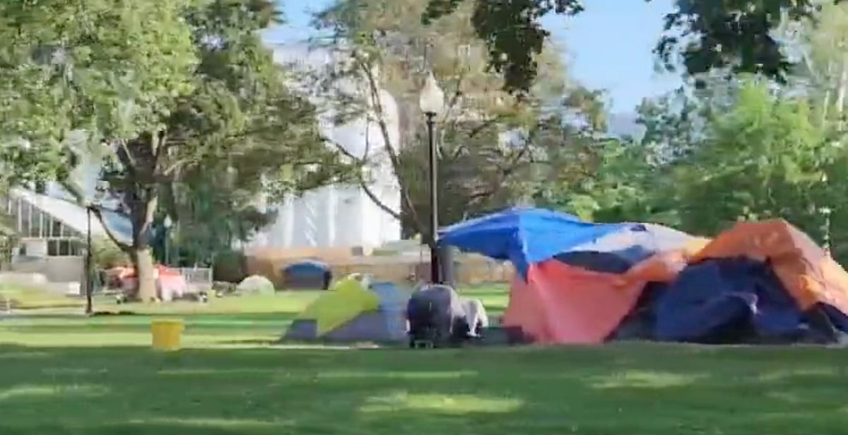 WATCH: Homeless encampment takes over Toronto park