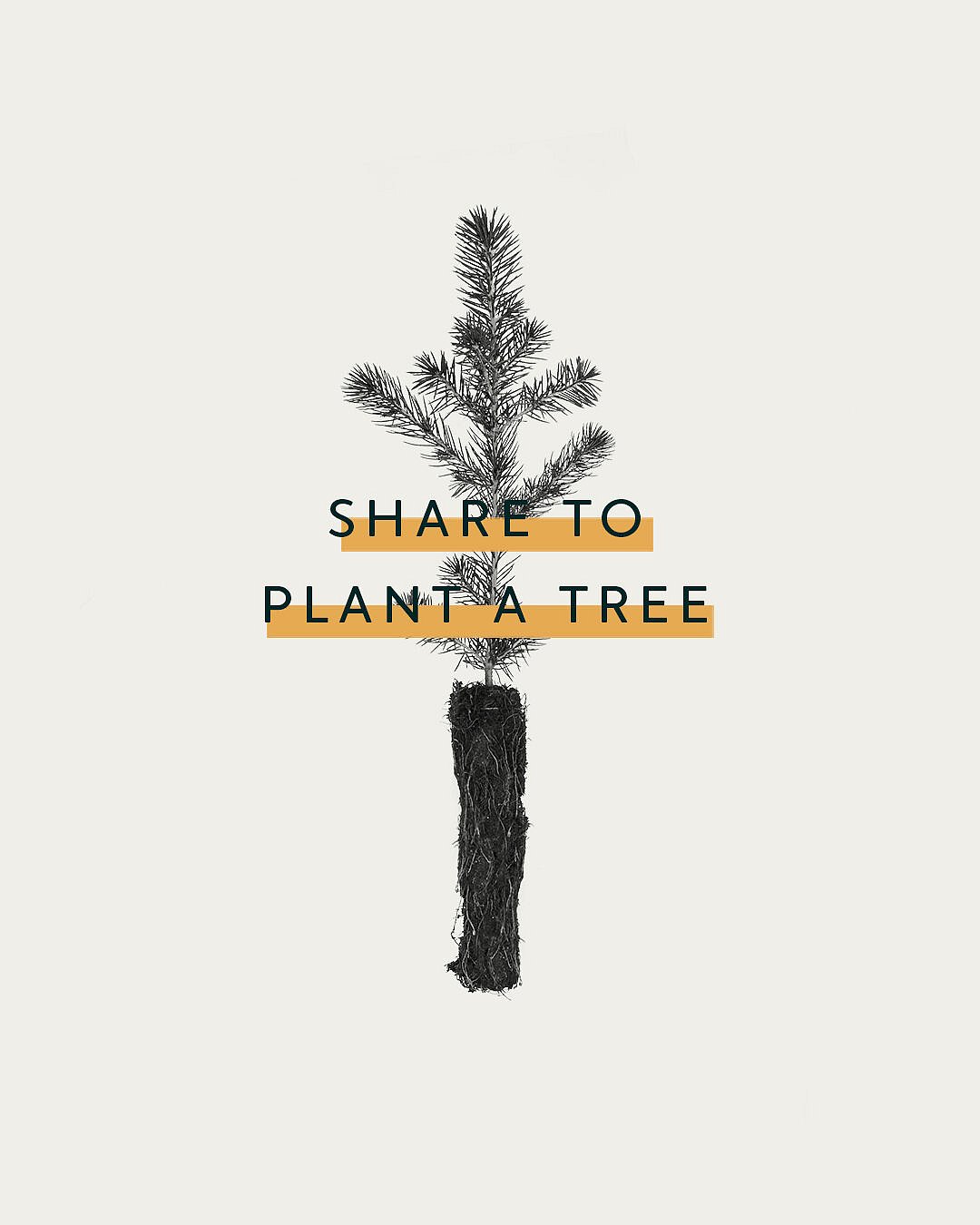 Vancouver’s tentree clothing company plants its 50-millionth tree