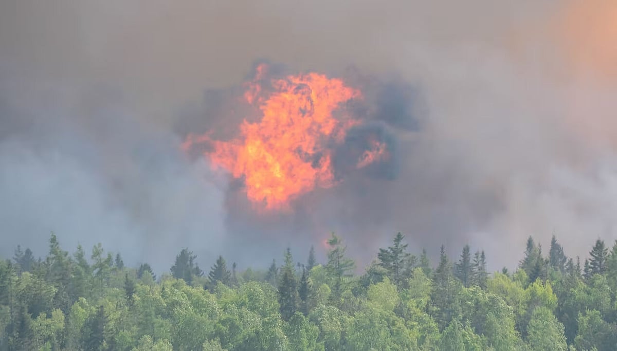 State of emergency in Halifax amid massive forest fire, 14,000 evacuated